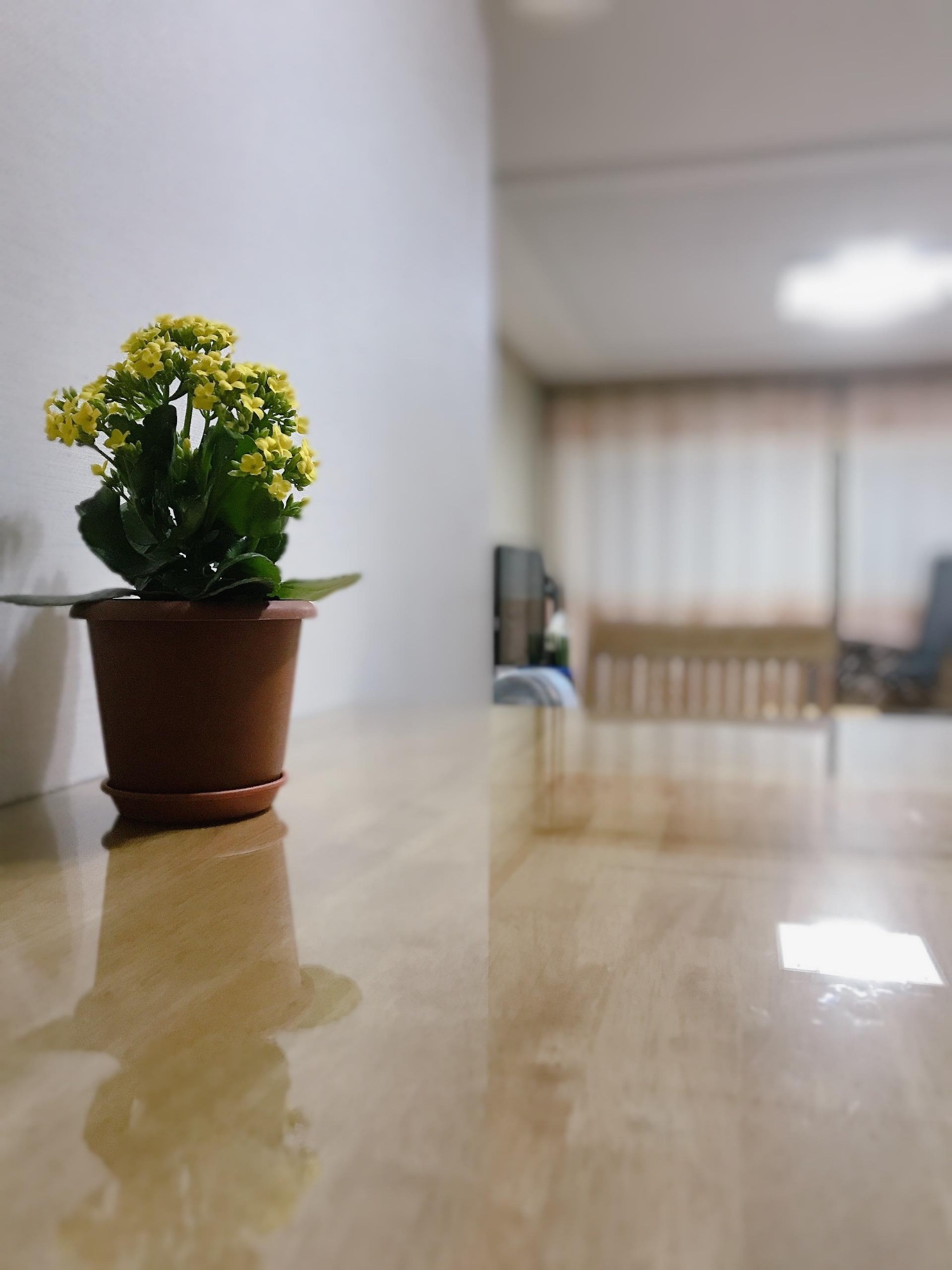 Wiz750SR-105 serial to Ethernet setting