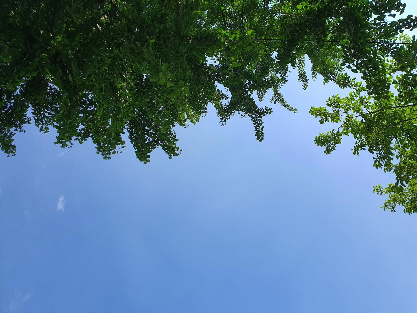 Python Errors) UFuncTypeError: Cannot cast ufunc 'add' output from dtype('float64') to dtype ...