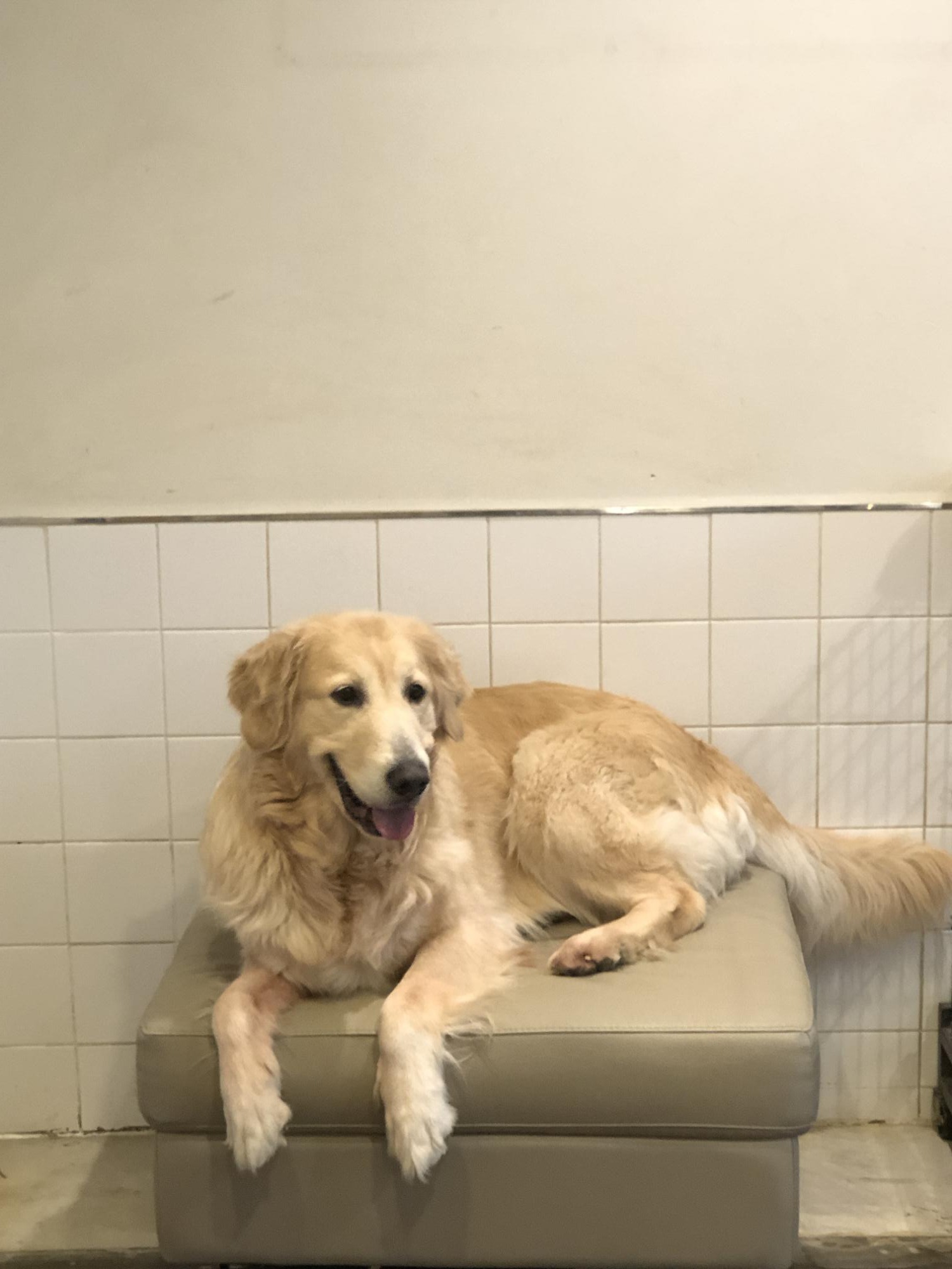 [CodeUp Python 기초 100제] # 71번_0 입력될 때까지 무한 출력하기